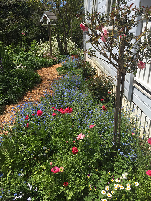 pretty-border – Susan Lhamo