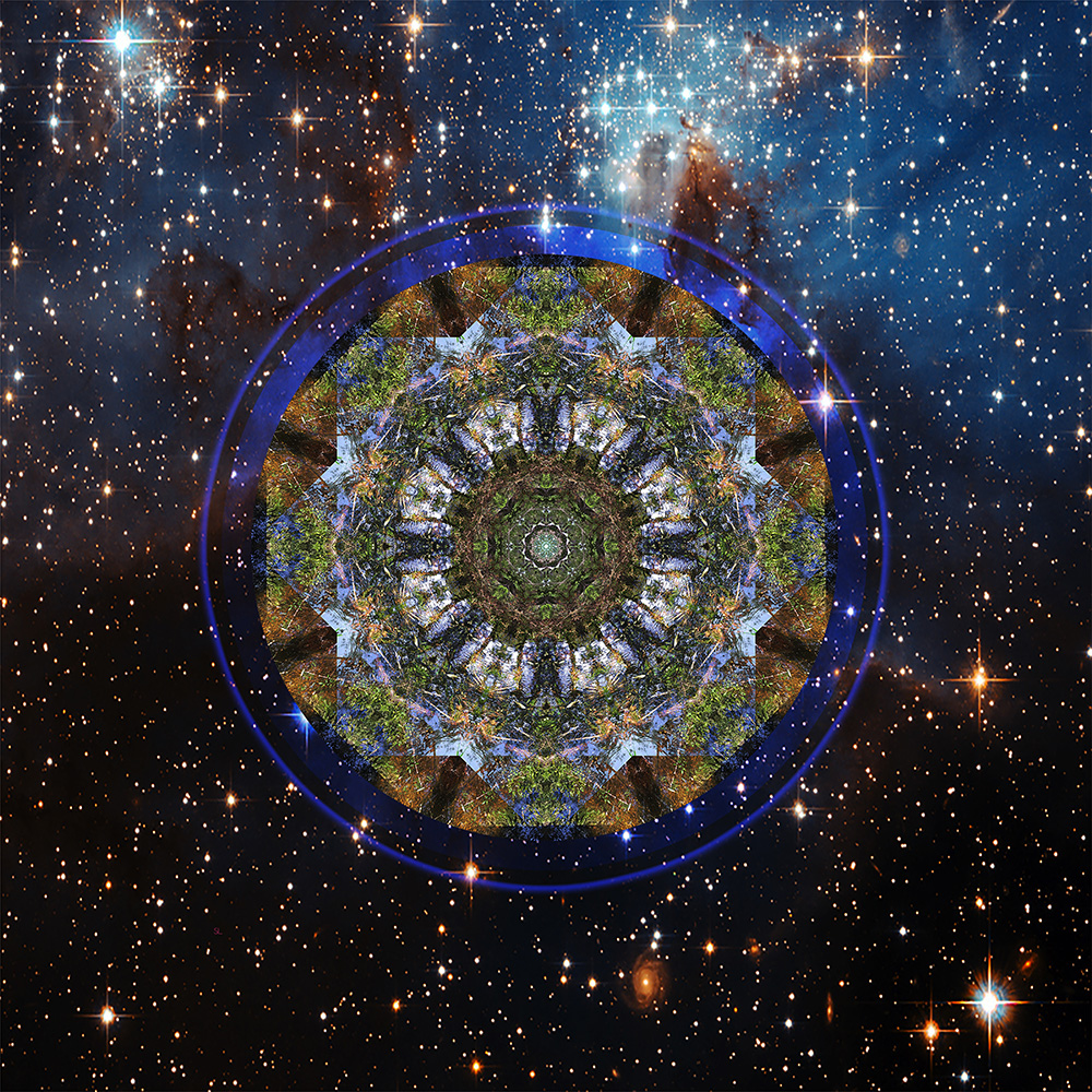 Forestwater-with-cosmos-mandala – Susan Lhamo